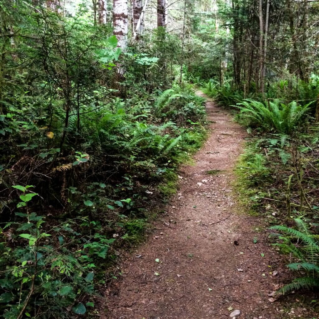 Seattle Day Trip Itinerary: Hood Canal Hiking, Oyster Harvest ...