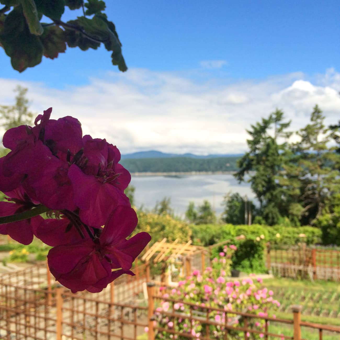 Seattle Day Trip Itinerary: Hood Canal Hiking, Oyster Harvest ...