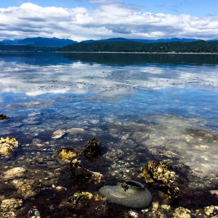 Seattle Day Trip Itinerary: Hood Canal Hiking, Oyster Harvest ...