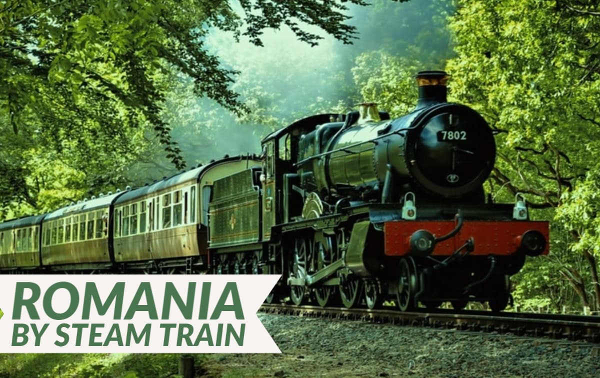 Trip Report: Romania's Maramures Forest and Mocanita Steam Train ...