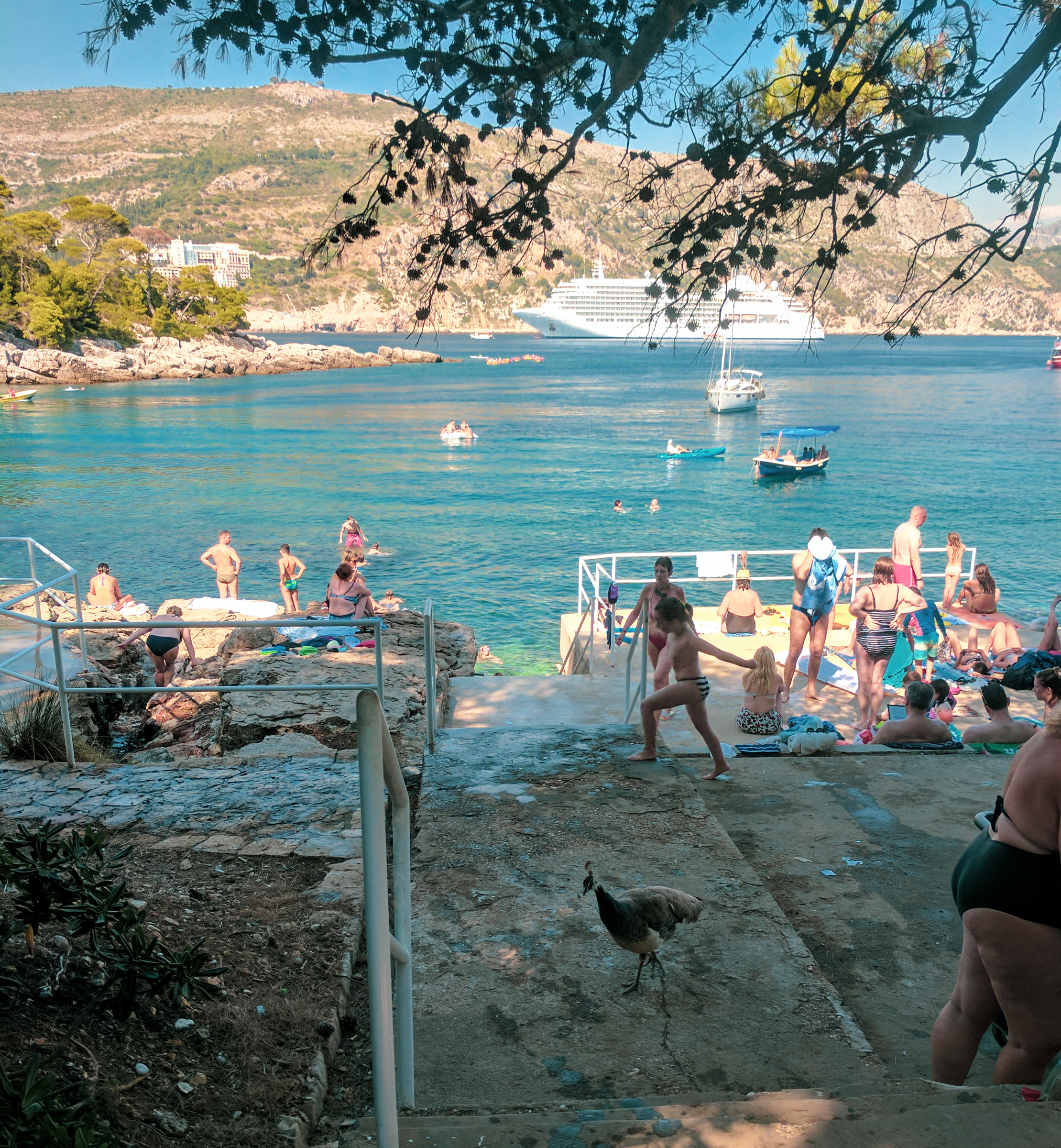 Things to Do on Lokrum Island on your Croatia Trip | WanderBIG.com