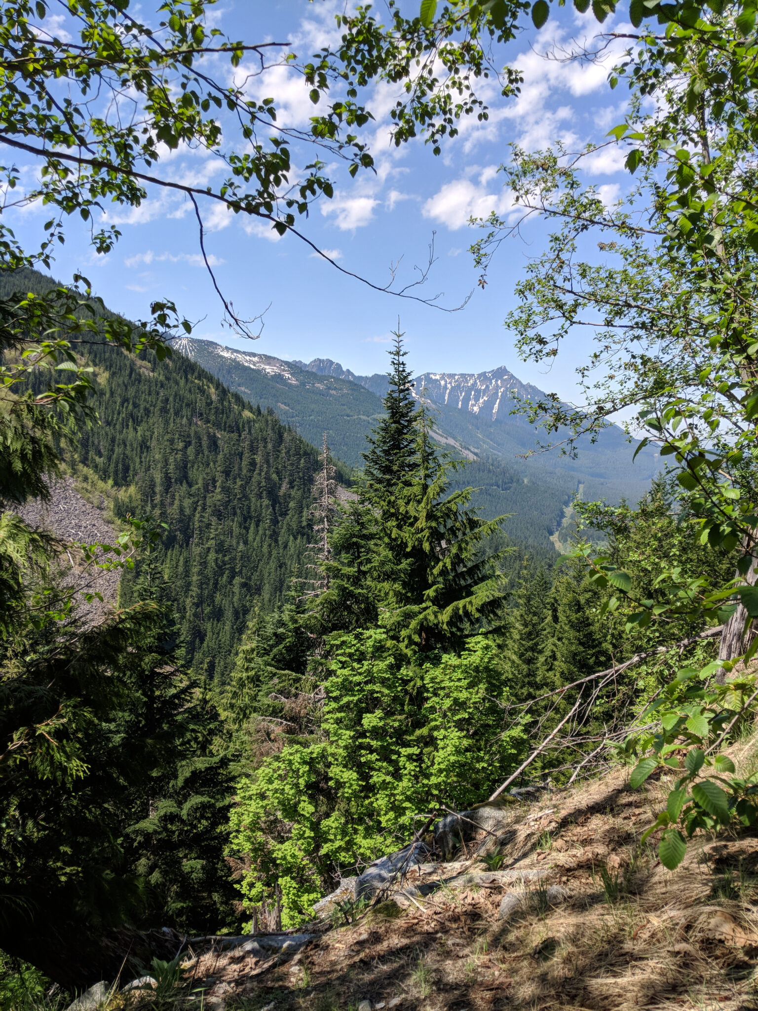 Guide to Crystal Hunting on the Hansen Creek Trail | Seattle, WA ...