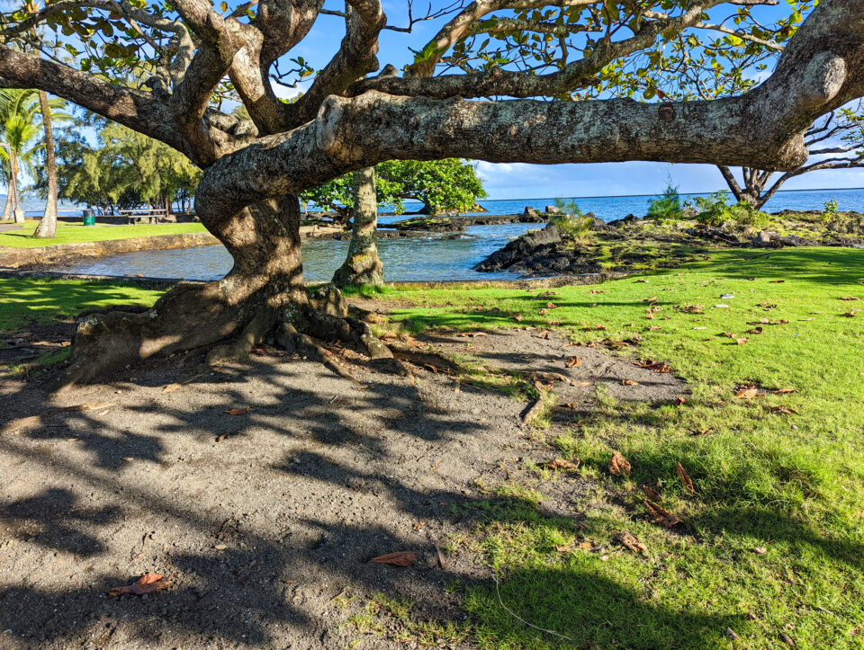 11 Fun Things To Do on Coconut Island in Hilo, Hawaii | WanderBIG.com