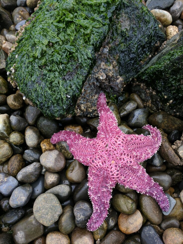 Things to do in Seattle on a Rainy Day | WanderBIG.com